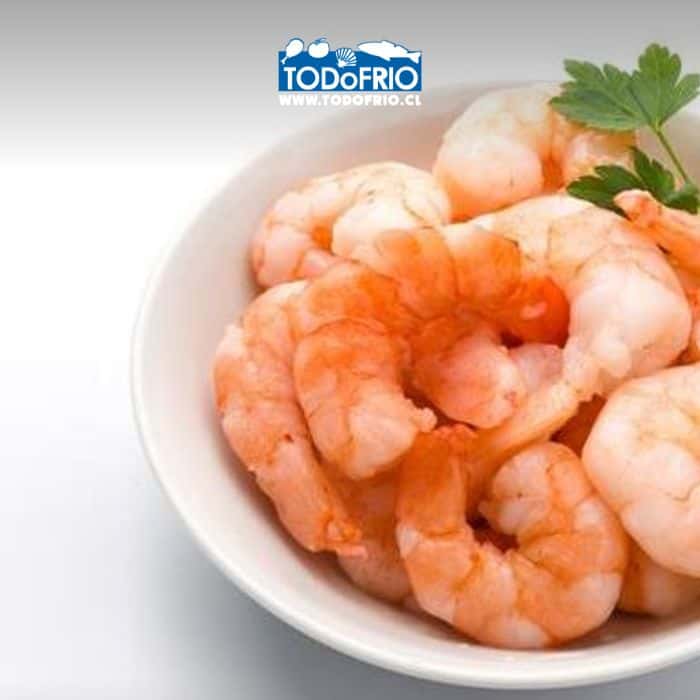Camarón Ecuatoriano 36/40 sin Cáscara Cocido IQF 1Kg. – TodoFrio ...