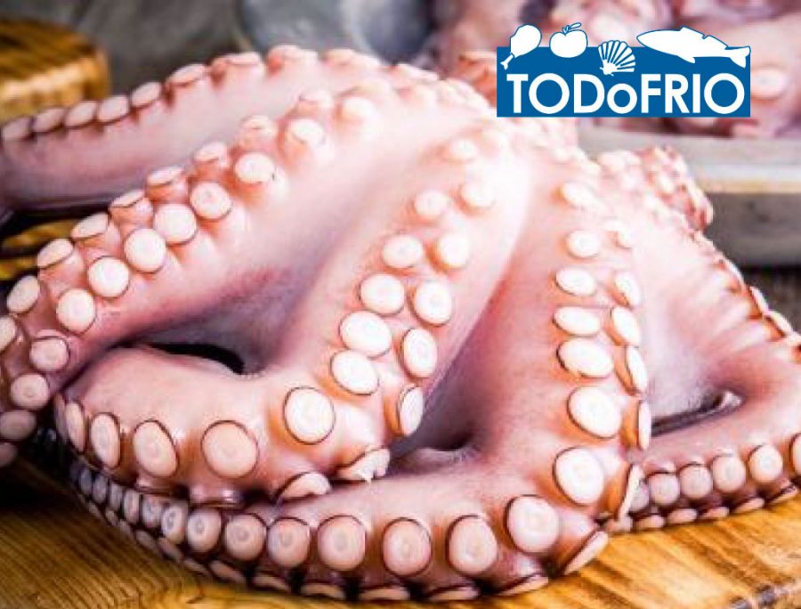 Pulpo del Norte Entero Cocido IVP Unidad - TodoFrio :: Distribuidora ...