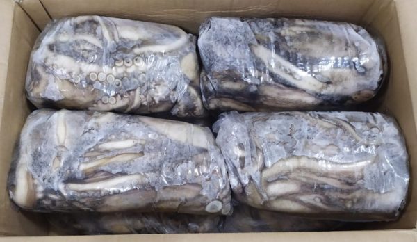Pulpo del Norte Entero Crudo IQF 2-UP Caja 12Kg. – TodoFrio ...
