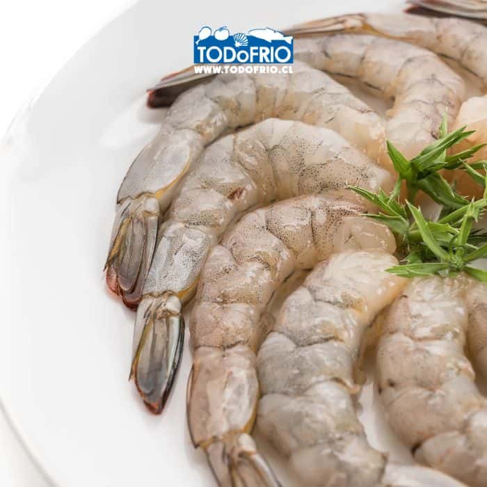 Camarón Ecuatoriano 36/40 Sin Cáscara Crudo Premium IQF