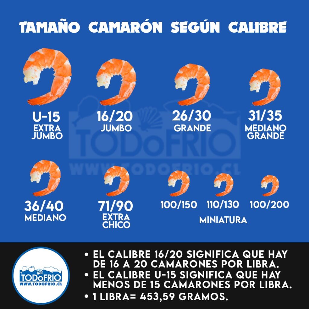Camarón U-15 sin Cáscara Crudo IQF 1Kg. - TodoFrio :: Distribuidora ...