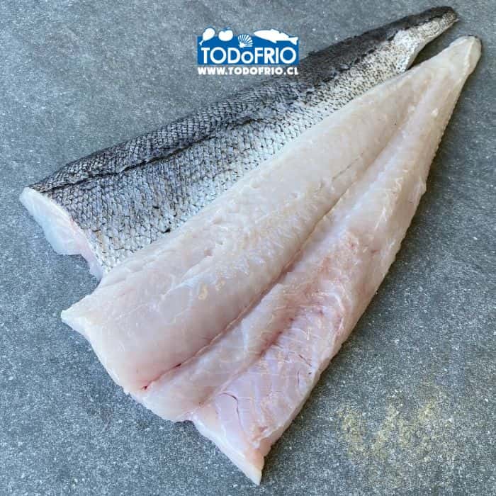 Merluza Austral Filete Con Piel IVP Unidad – TodoFrio :: Distribuidora ...
